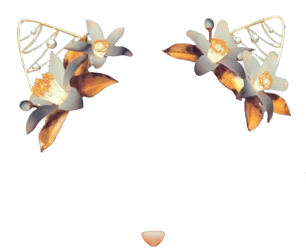 Download 69 Images About Snapchat/snow Filters Overlays On We - Snow ...