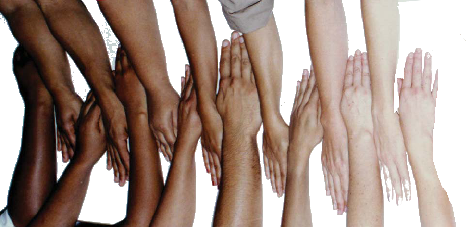 Download Transparent Skin In Humans - Full Size PNG Image - PNGkit