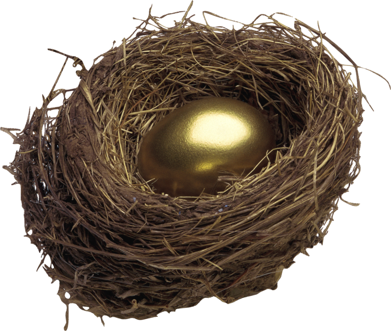 Download Nest Png, Download Png Image With Transparent Background ...