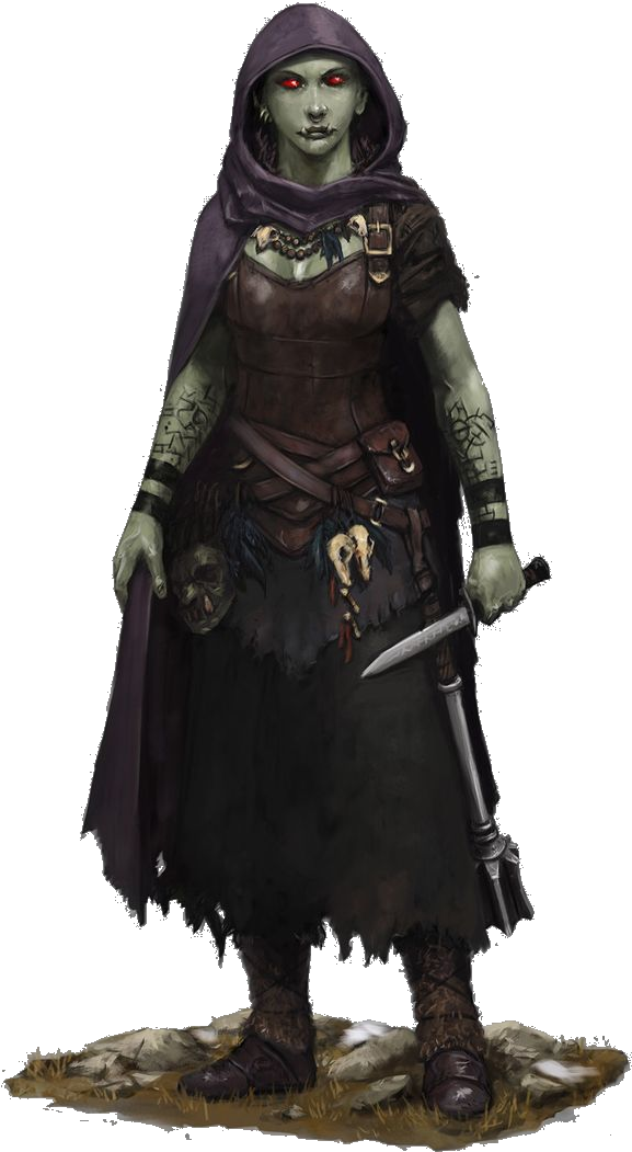 Download Ten-penny - Female Half Orc Rogue - Full Size PNG Image - PNGkit