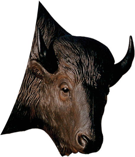 Download Bison Archery Target Replacement Head - Bison Head - Full Size ...