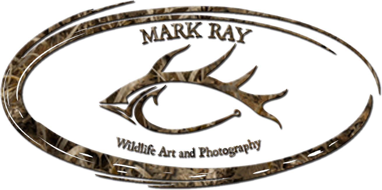 Download Mark Ray Studio - Emblem - Full Size PNG Image - PNGkit