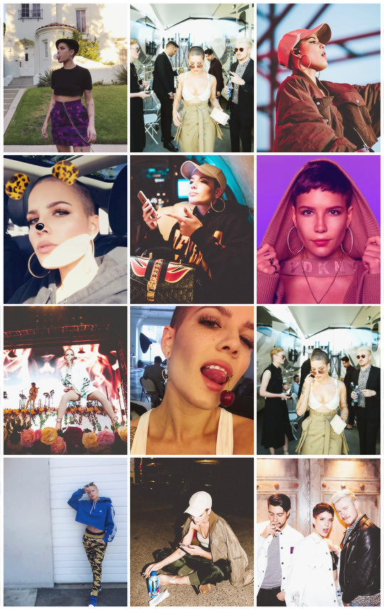 Download Instagram Photoshoot Meme Nwetss Halsey Pictures Instagram ...