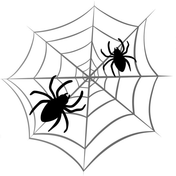 Download Halloween Spider Web Png Clipart - White Halloween Clipart Png ...