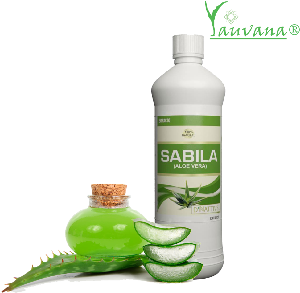 Download Yauvana S - A - C - Aloe Vera / Sábila Extracto - Oferta ...