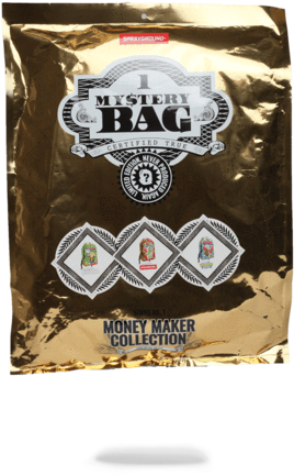 Download Sprayground Money Bear Raining Money - Sprayground Mystery ...