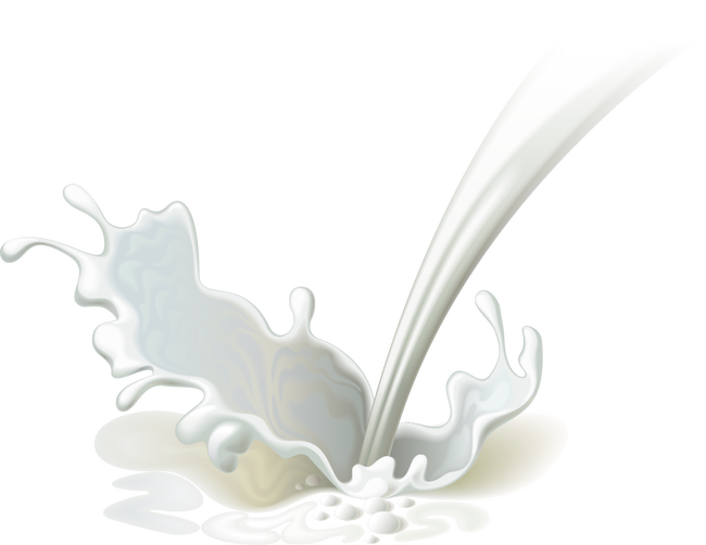 Download Transparent Milk Splash Free Png Image - Milk Splash Vector ...