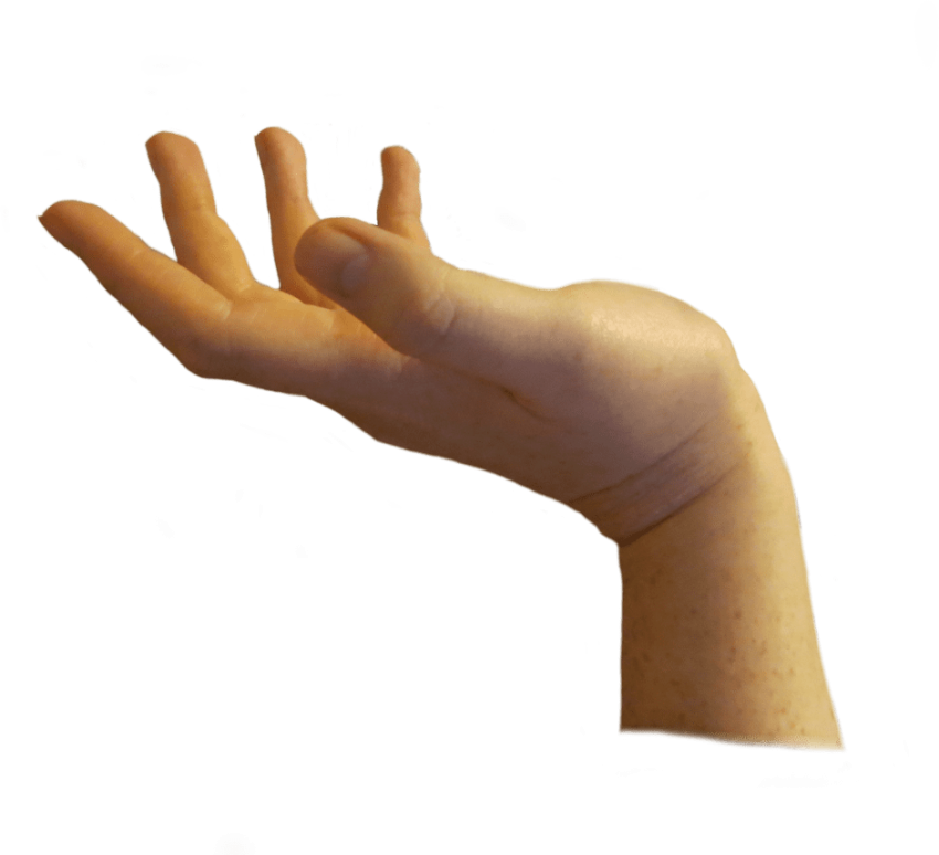 Download Free Png Hands Png Images Transparent - Hand Png - Full Size ...