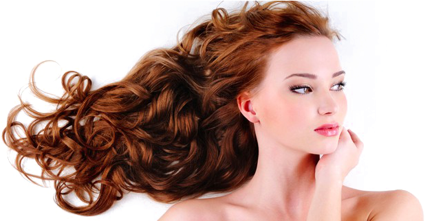 Download Download Amazing High-quality Latest Png Images Transparent ...