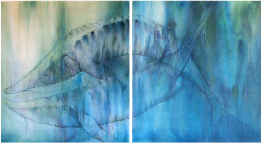 Download Losing Color, Pallid Sturg - Color - Full Size PNG Image - PNGkit