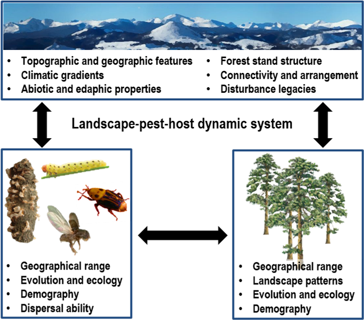 Download Conceptual Diagram Of The Interactions Among Landscape ...