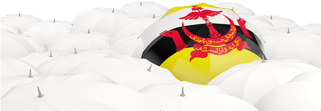 Download Emblem Of Brunei - Full Size PNG Image - PNGkit