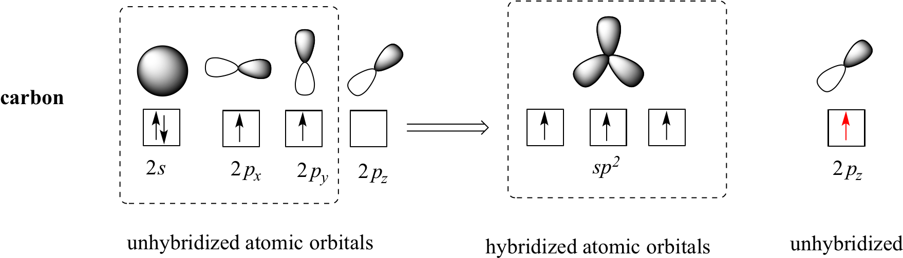 Download Fig2 1 14 Revision=1 - Sp2 Hybridized Atomic Orbital Of Oxygen ...