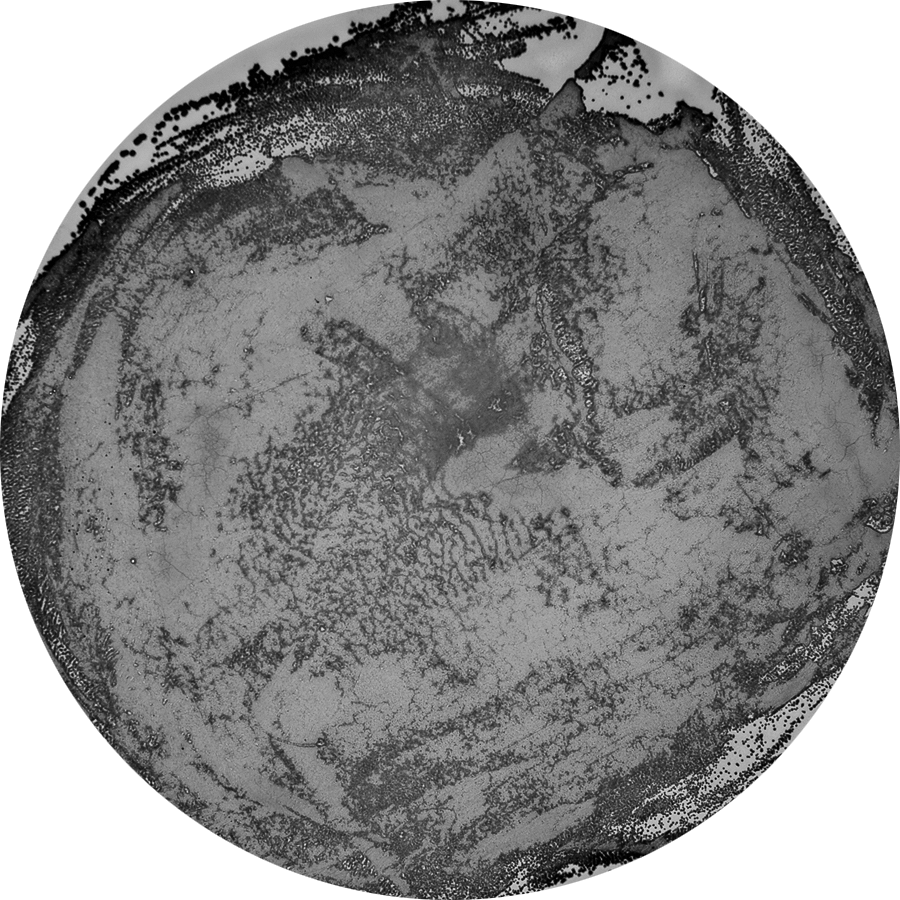 Download I Believe The Color Pixel Counter By Ben Pichette Is - Circle ...