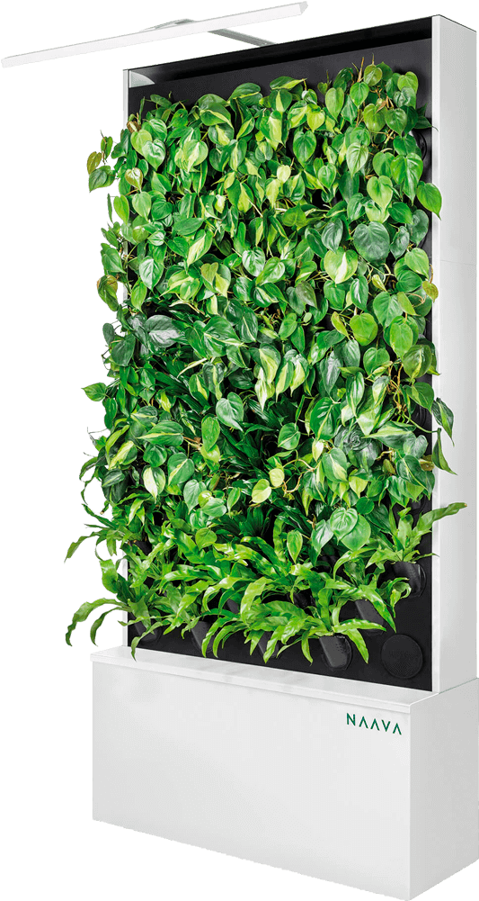 Download Naava One White Oblique - Naava Green Wall - Full Size PNG ...