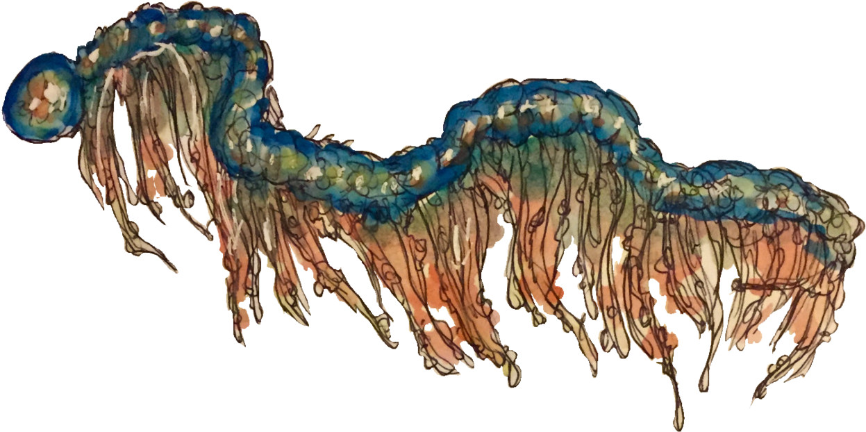 Download Some Transparent Deep Sea Images - Illustration - Full Size ...