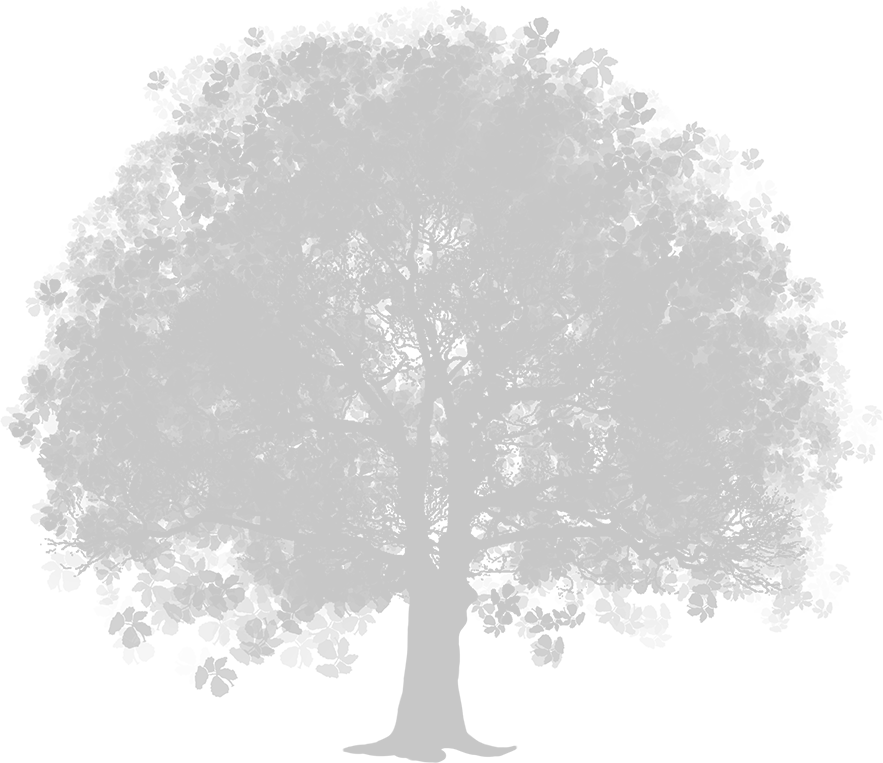 Download Tree Clipart - Full Size PNG Image - PNGkit