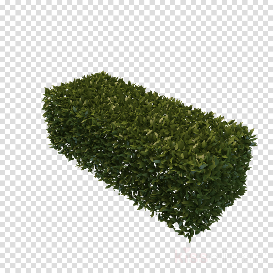 Download Box Hedge Png Clipart Hedge Box - Target Icon Transparent ...