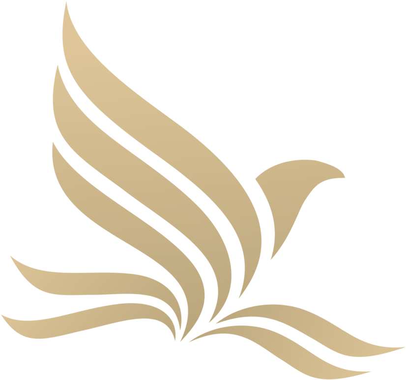 Download Dm Logo Gold - Facebook - Full Size PNG Image - PNGkit