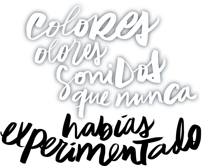 Download 4×4 Safari Texto - Calligraphy - Full Size PNG Image - PNGkit