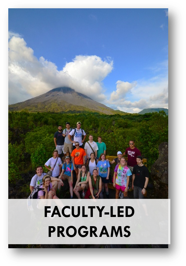 Download Faculty Led Programs Icon - Faculty - Full Size PNG Image - PNGkit