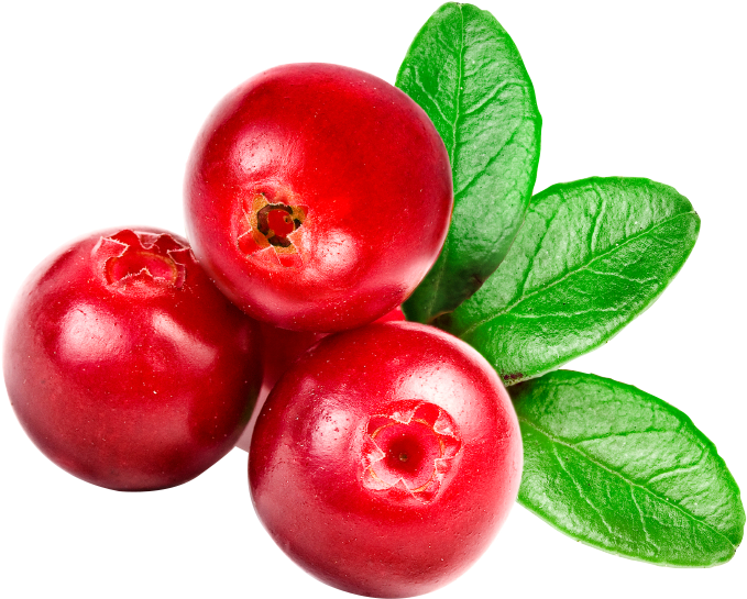 Download Cranberry Juice - Bearberry Extract - Full Size PNG Image - PNGkit