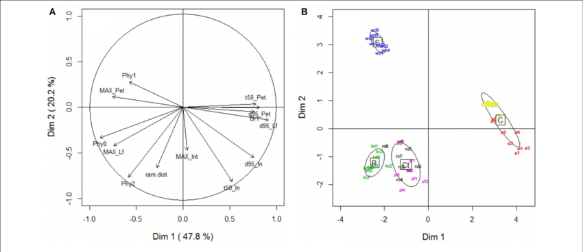 Download Download - Variable - Full Size PNG Image - PNGkit