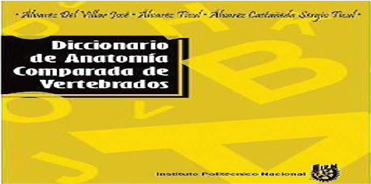 Download Comparative Anatomy - Full Size PNG Image - PNGkit