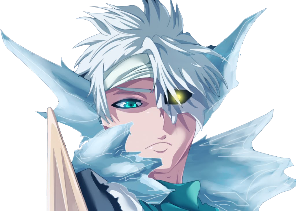 Bleach Toshiro Hollow