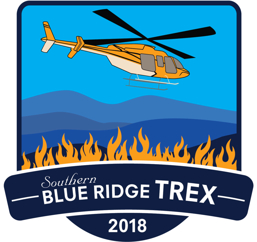 Download Blueridgetrex - Blue Ridge Mountains - Full Size PNG Image ...