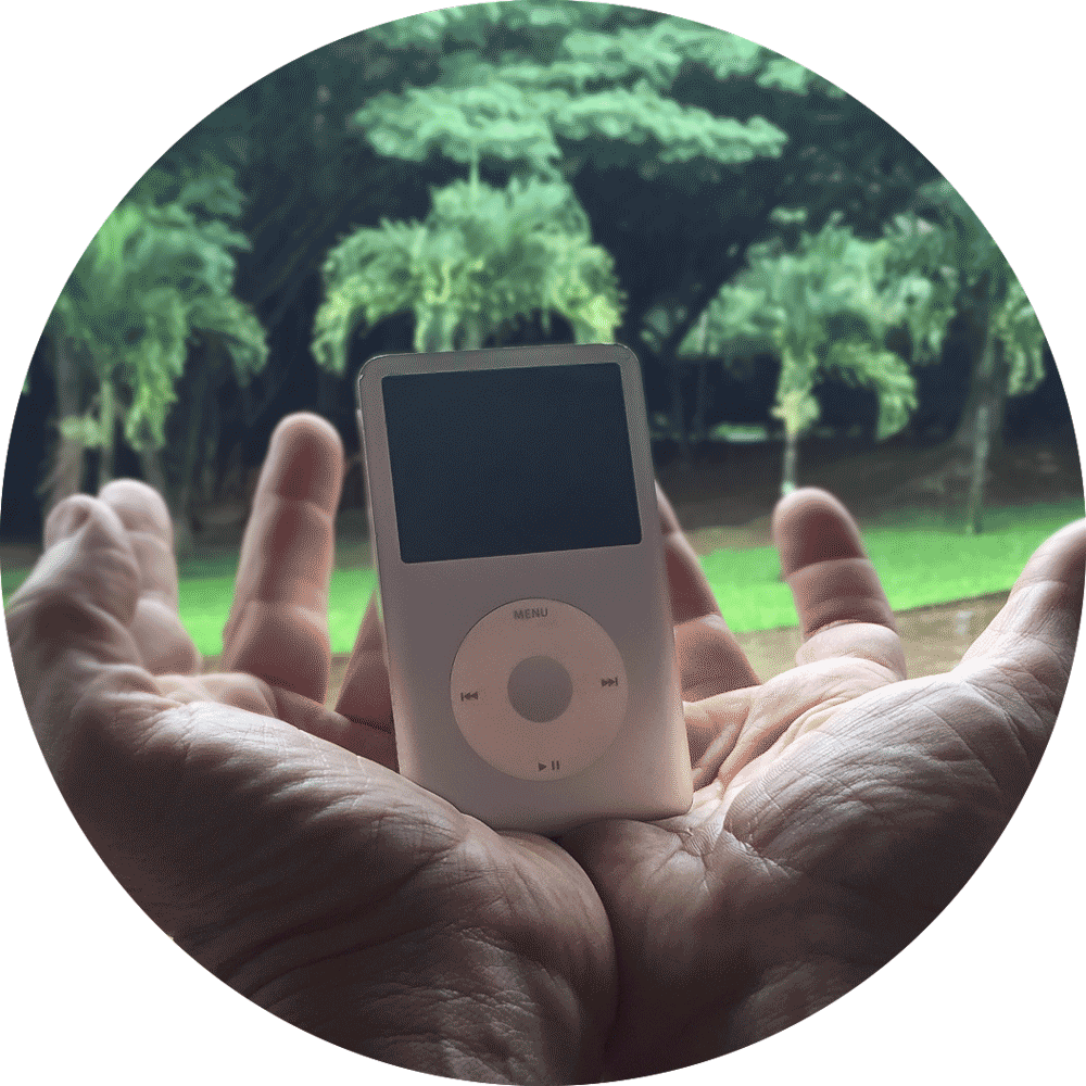 Download Ipod - Lily Pad Coloring Page - Full Size PNG Image - PNGkit