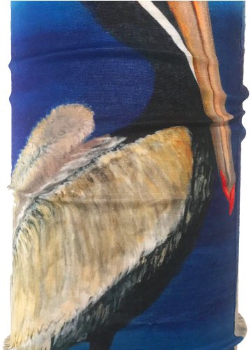 Download Pelican Buff - Painting - Full Size PNG Image - PNGkit