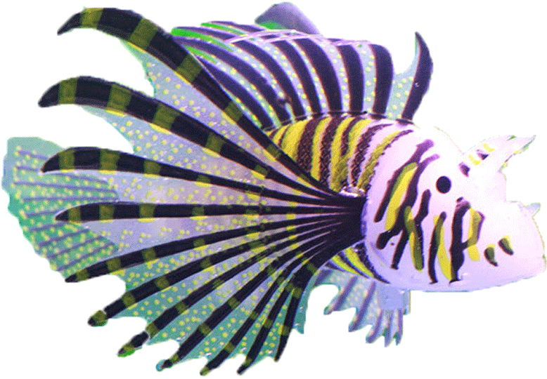 Download 然锋 Fish Tank Decoration Simulation Small Fake Fish - Aquarium ...