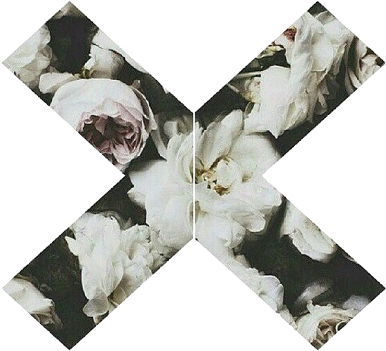 Download Flower Divider Image Ajcw - Roses Iphone 7 Plus Case - Full ...