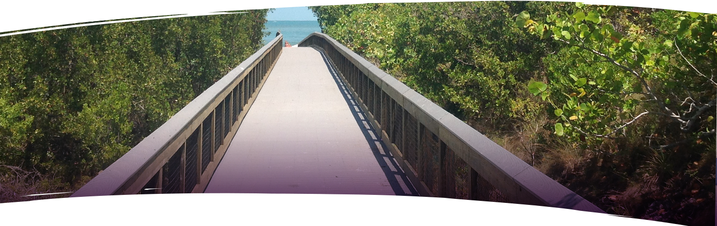 Download Specializing In Top-down Bridge Construction Through ...