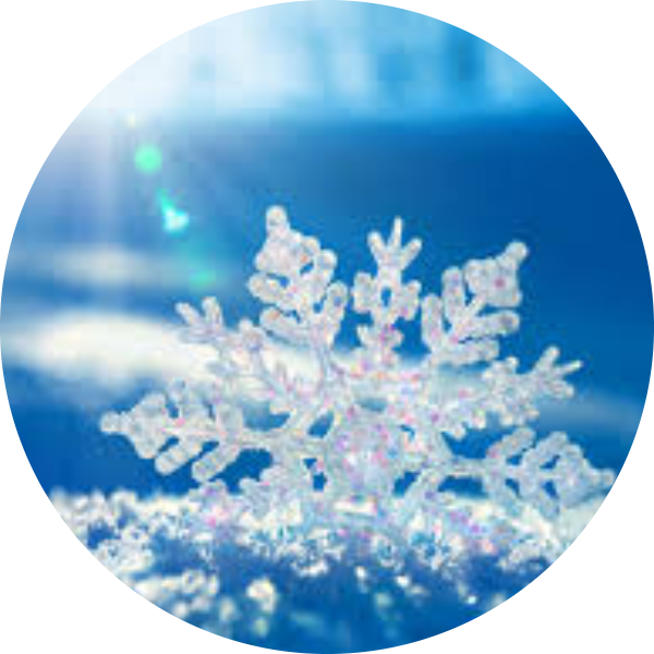 Download Real Life Winter Snowflake - Full Size PNG Image - PNGkit