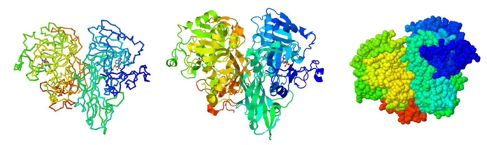 Download Transparent Enzyme Structures - Enzyme Space Filling Model ...