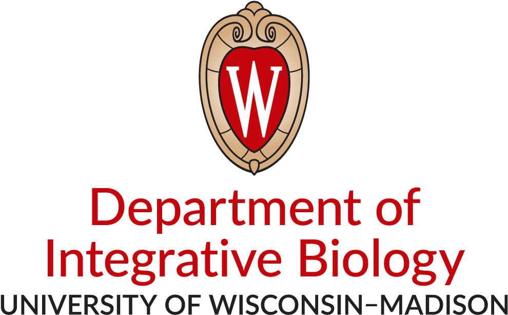 Download 4-color Centered Logo - University Of Wisconsin-madison - Full ...