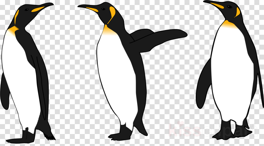 Download Emperor Penguin Clip Art Clipart Emperor Penguin Clip ...