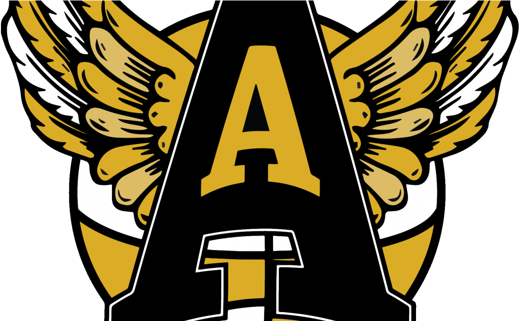 Download Atlanta Angels - Angel Wings - Full Size PNG Image - PNGkit