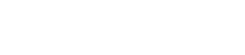 Download Logo - Auto Ninja Logo - Full Size PNG Image - PNGkit