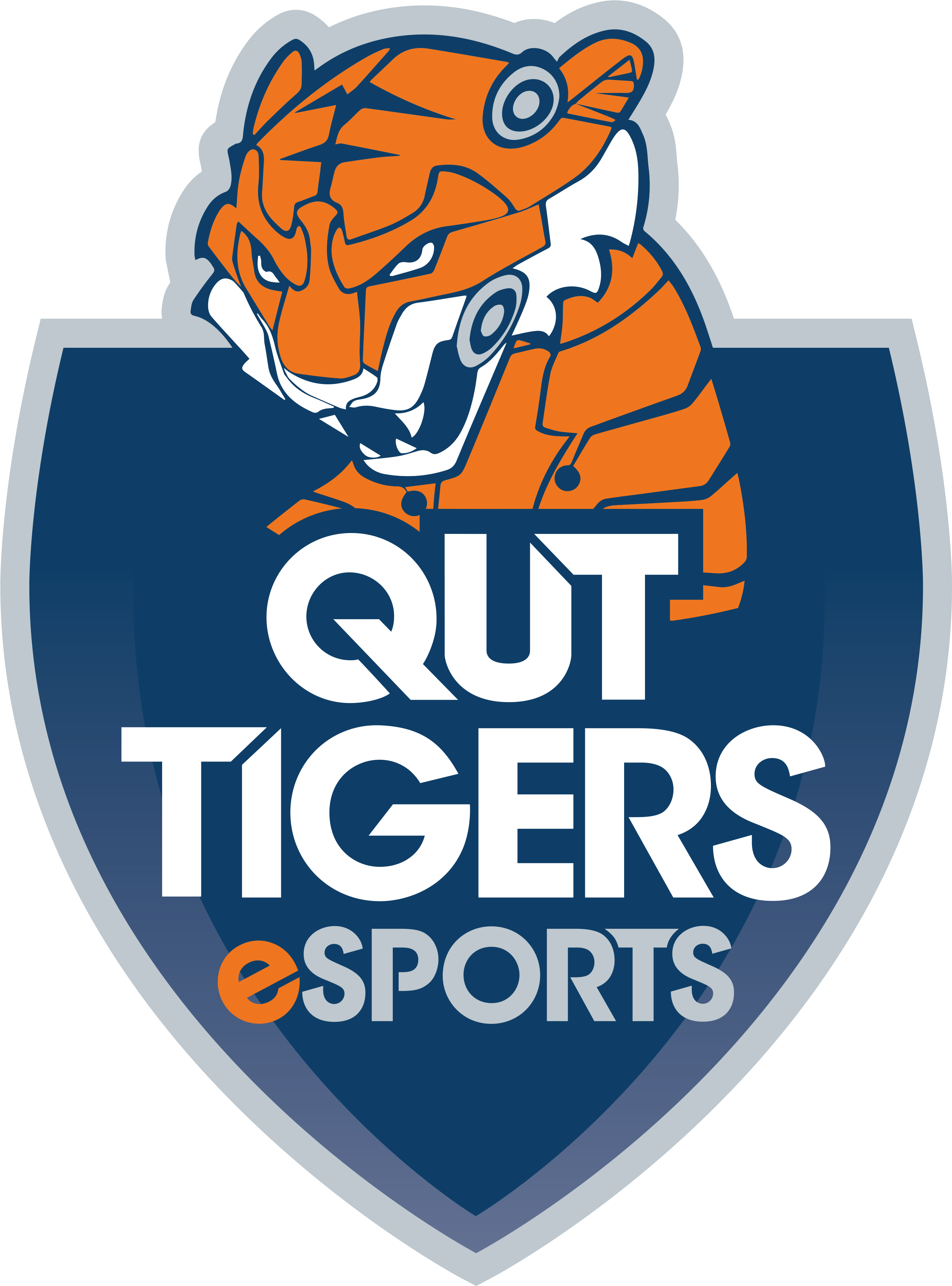 Download Qut Tigers - Full Size PNG Image - PNGkit