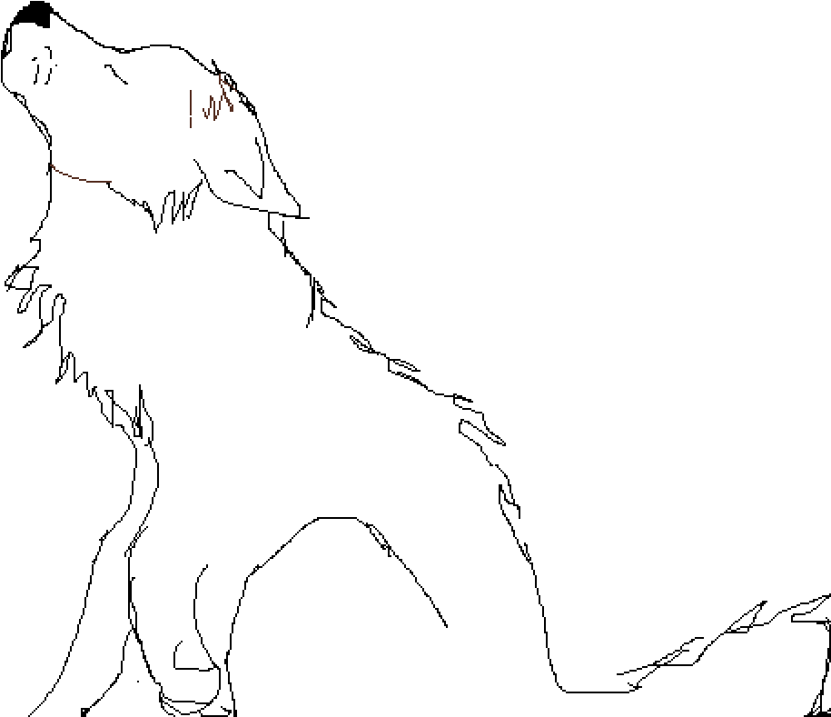 Download Transparent Wolf Outline Colour In If Want - Wolf - PNGkit