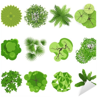 Download Transparent Simple Tree Plan View - PNGkit