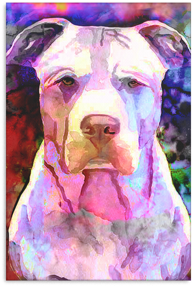 Download Pitbull Canvas P87 - Pit Bull - Full Size PNG Image - PNGkit