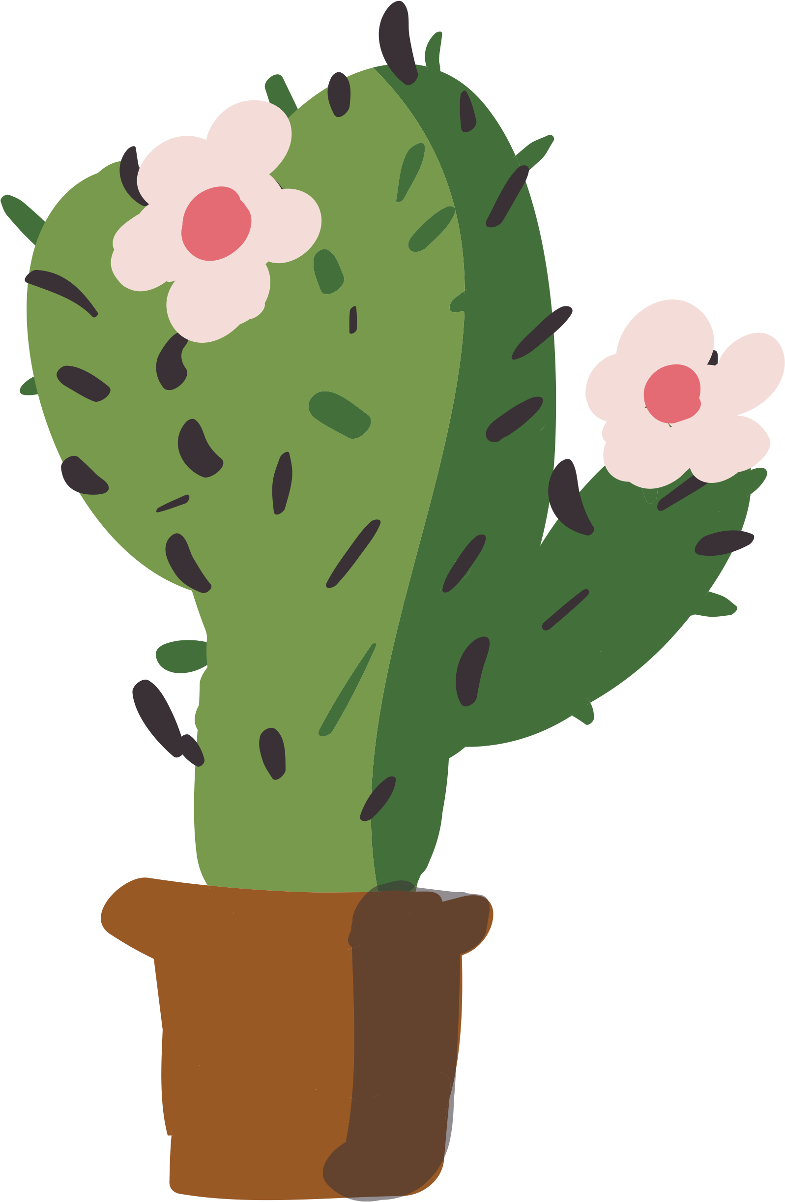 Download Barbary Fig Cactaceae Drawing Nopal Watercolor Painting ...