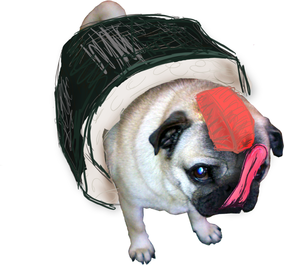 Download Transparent Pugs Drawn Sushi Pug - Transparent Pug Tumblr ...