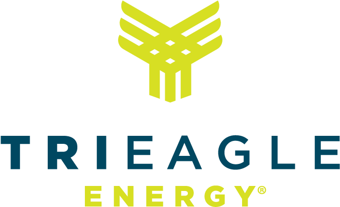 Download Trieagle Energy - Sun Eagle Solar - Full Size PNG Image - PNGkit