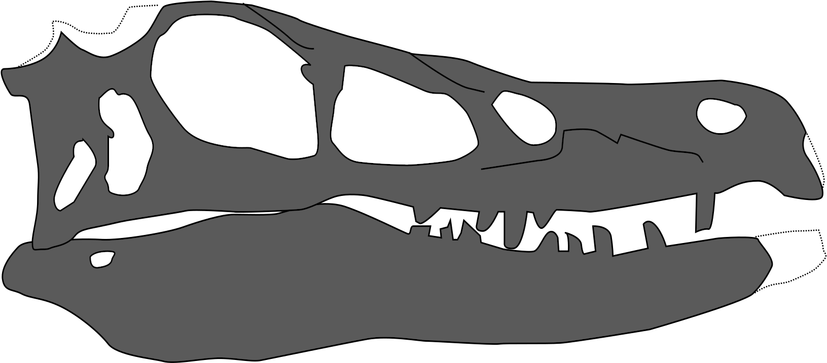 Download Linheraptor Exquisitus Skull - Linheraptor - Full Size PNG ...