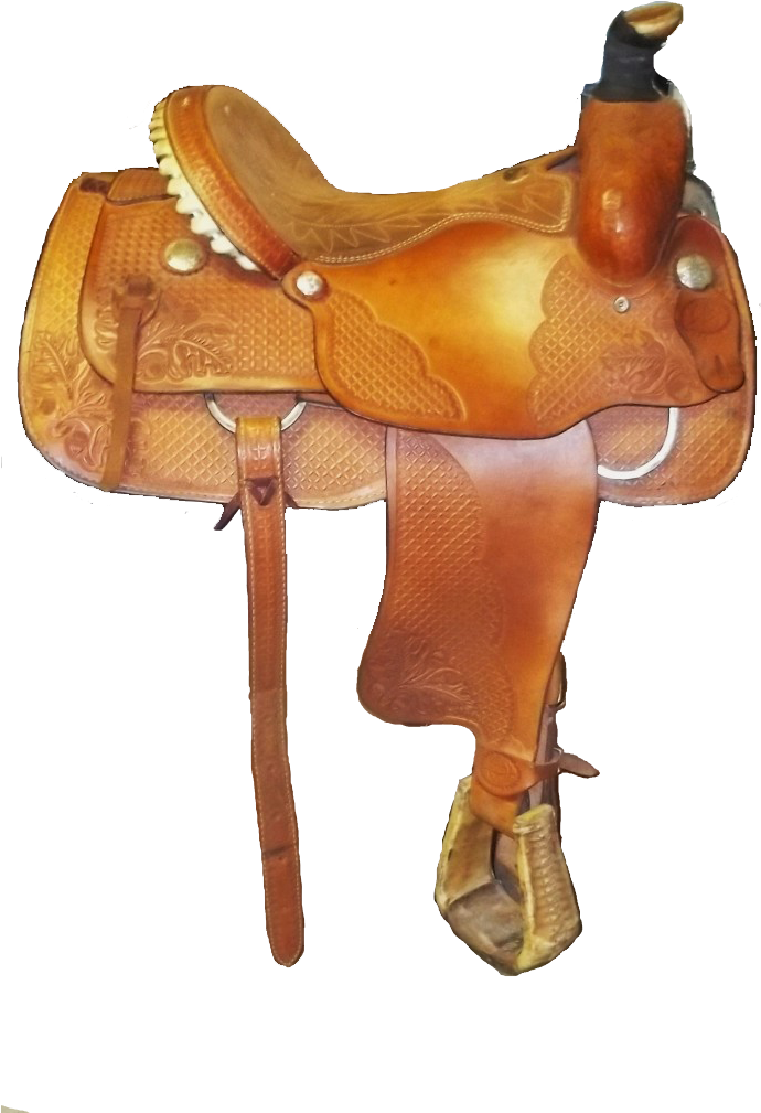 Download Longhorn Pro Roper - Saddle - Full Size PNG Image - PNGkit